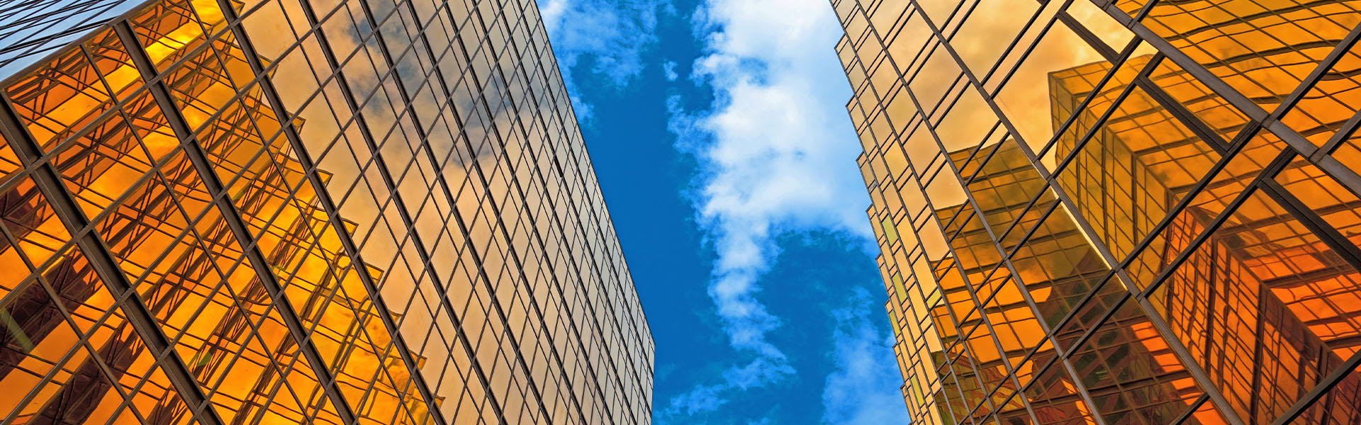 Real Estate Leasing | Stearns Weaver Miller